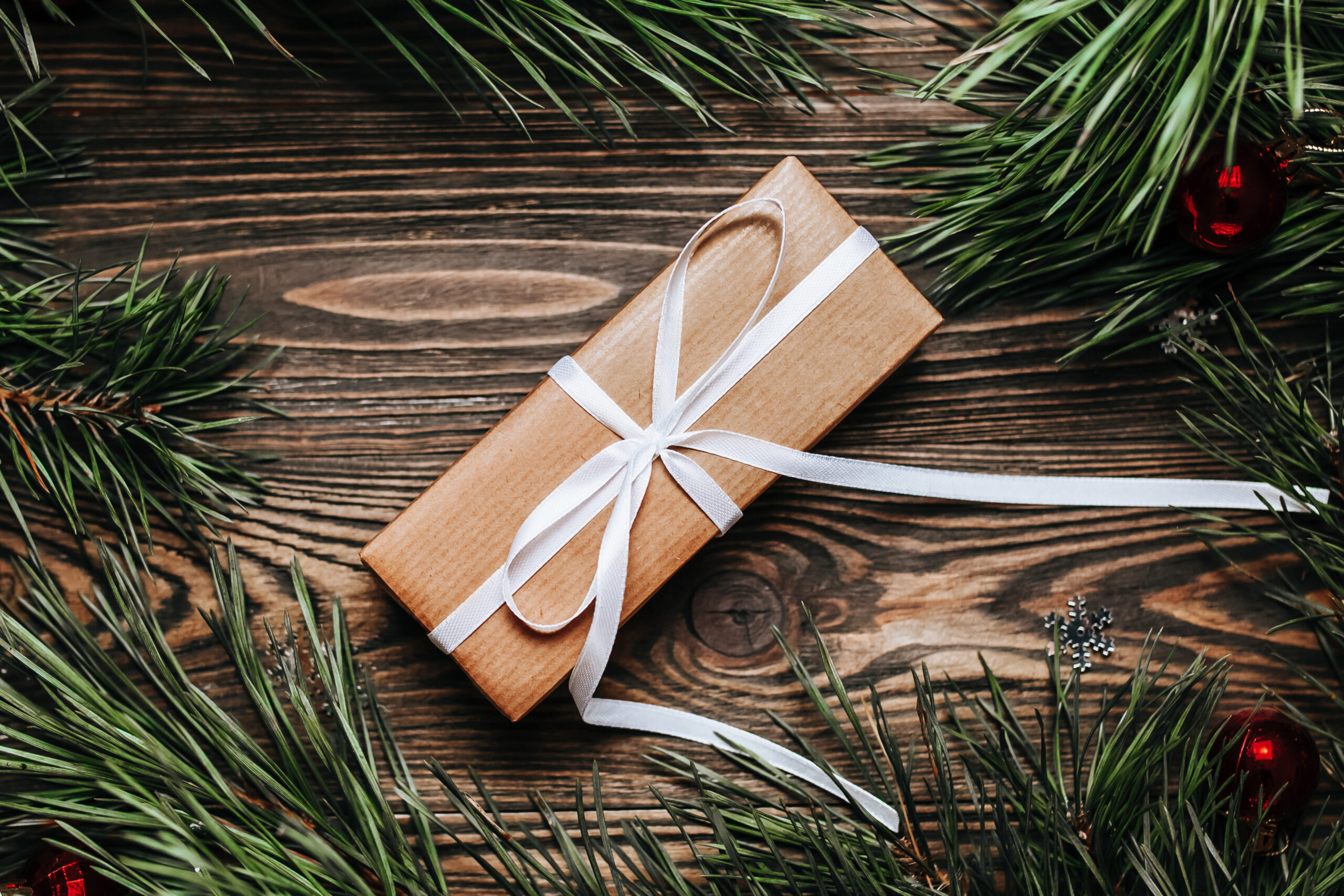 November 2024 - JCN Monitor